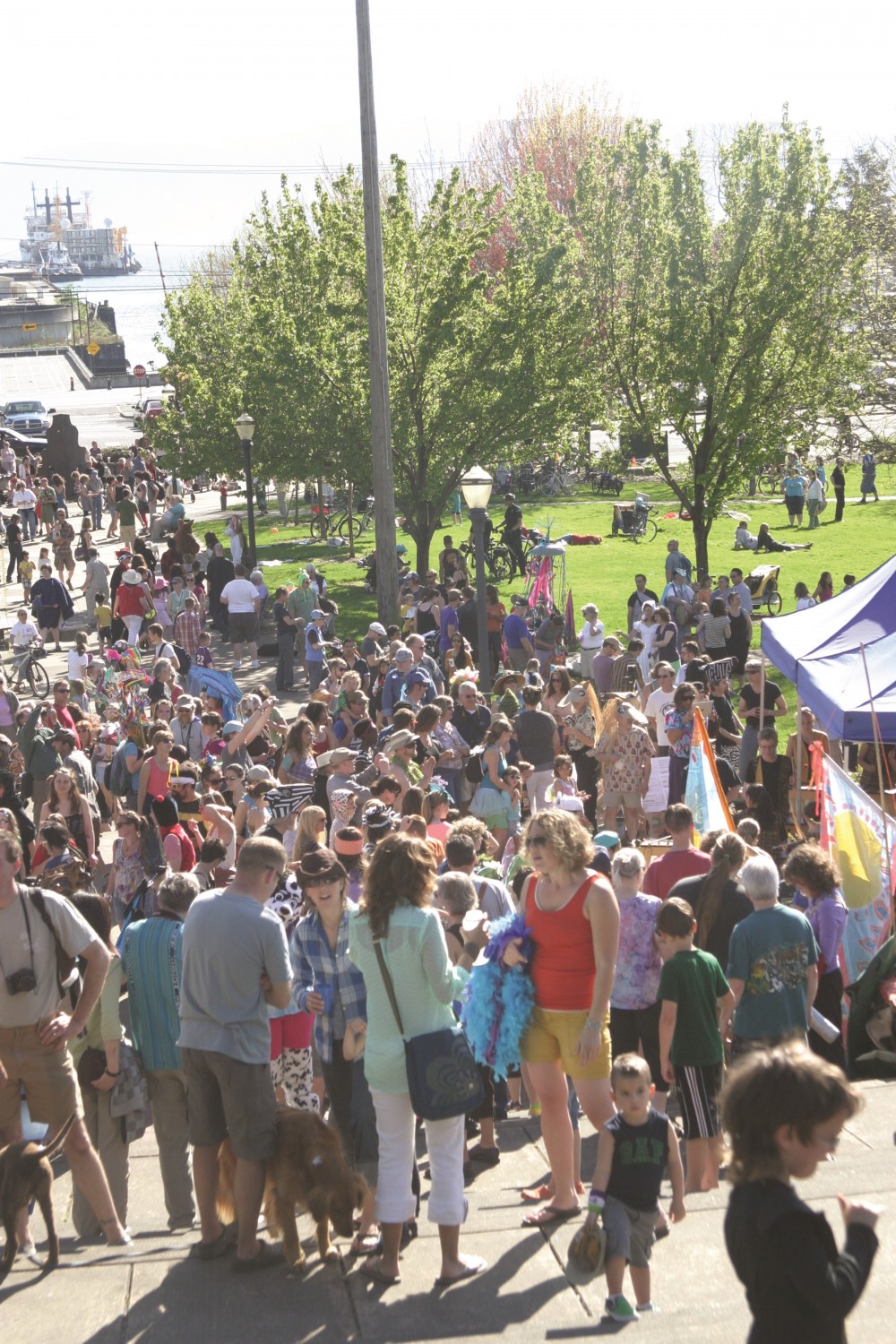 Photo Feature: It’s A Zoo Out There! - The Horizon